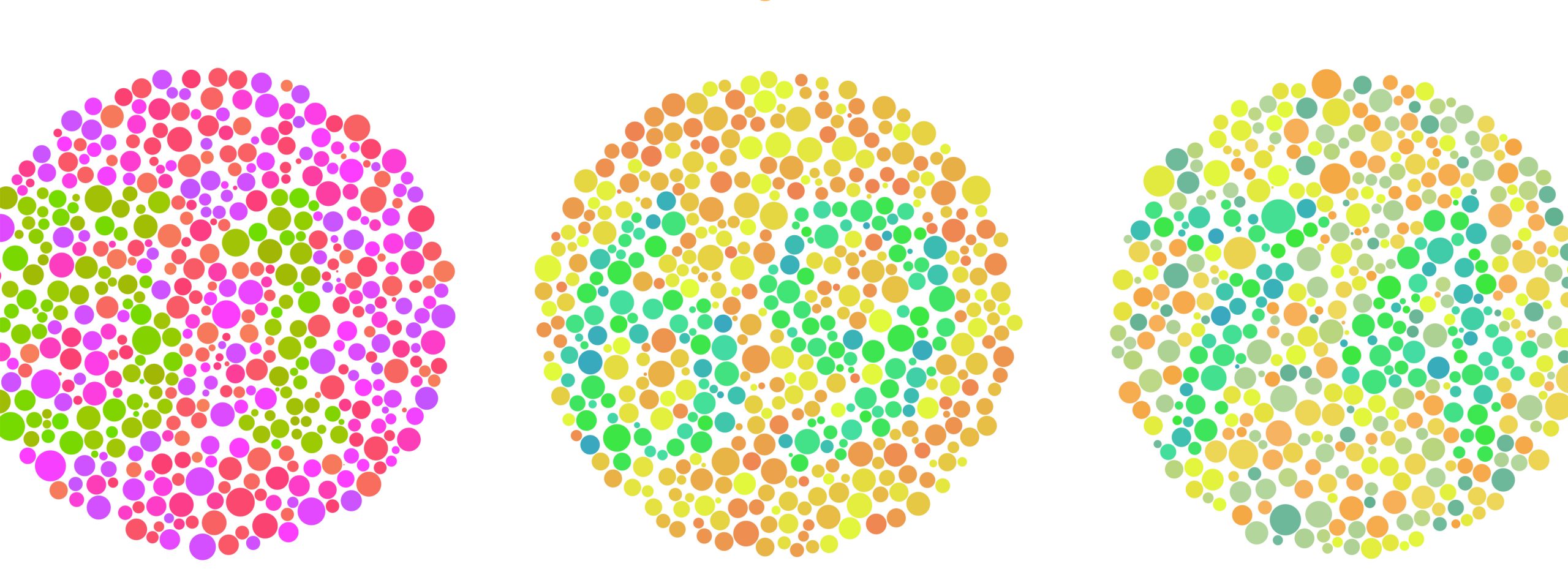 Vision Functions UC Berkeley Optometry Clinic